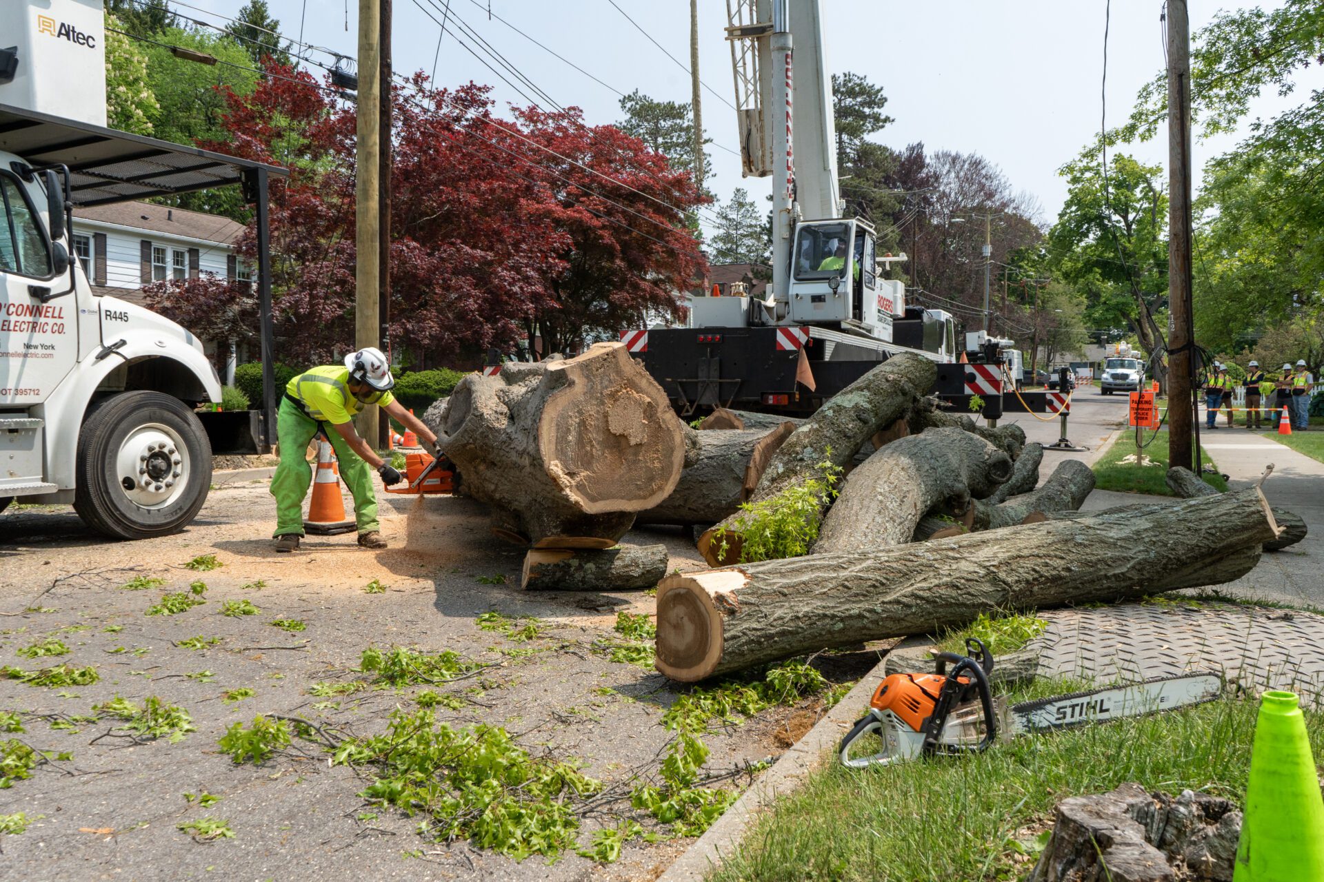 Vegetation Management & Access Services | O'Connell Electric
